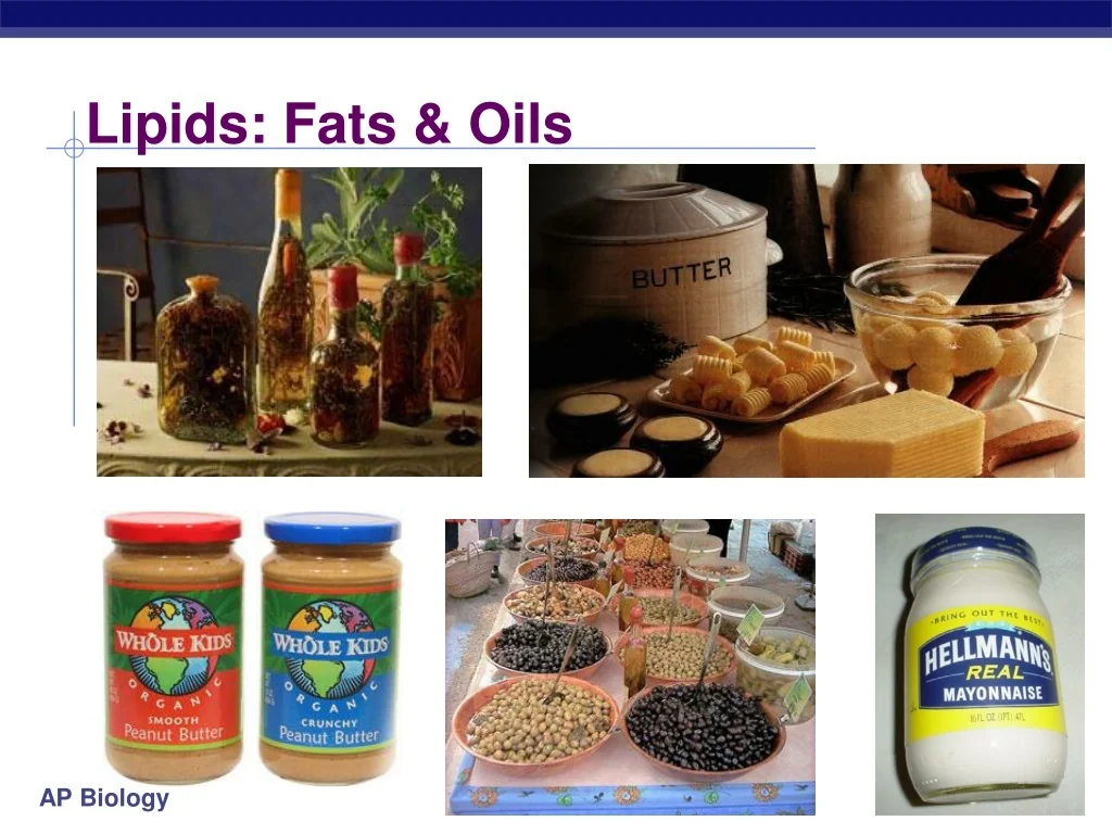 PPT - Lipids: Fats & Oils in Long-Term Energy Storage PowerPoint ...