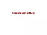 PPT - Cerebrospinal fluid PowerPoint Presentation, free download - ID ...