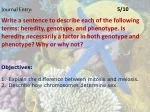 PPT - Journal Entry PowerPoint Presentation, free download - ID:1521104