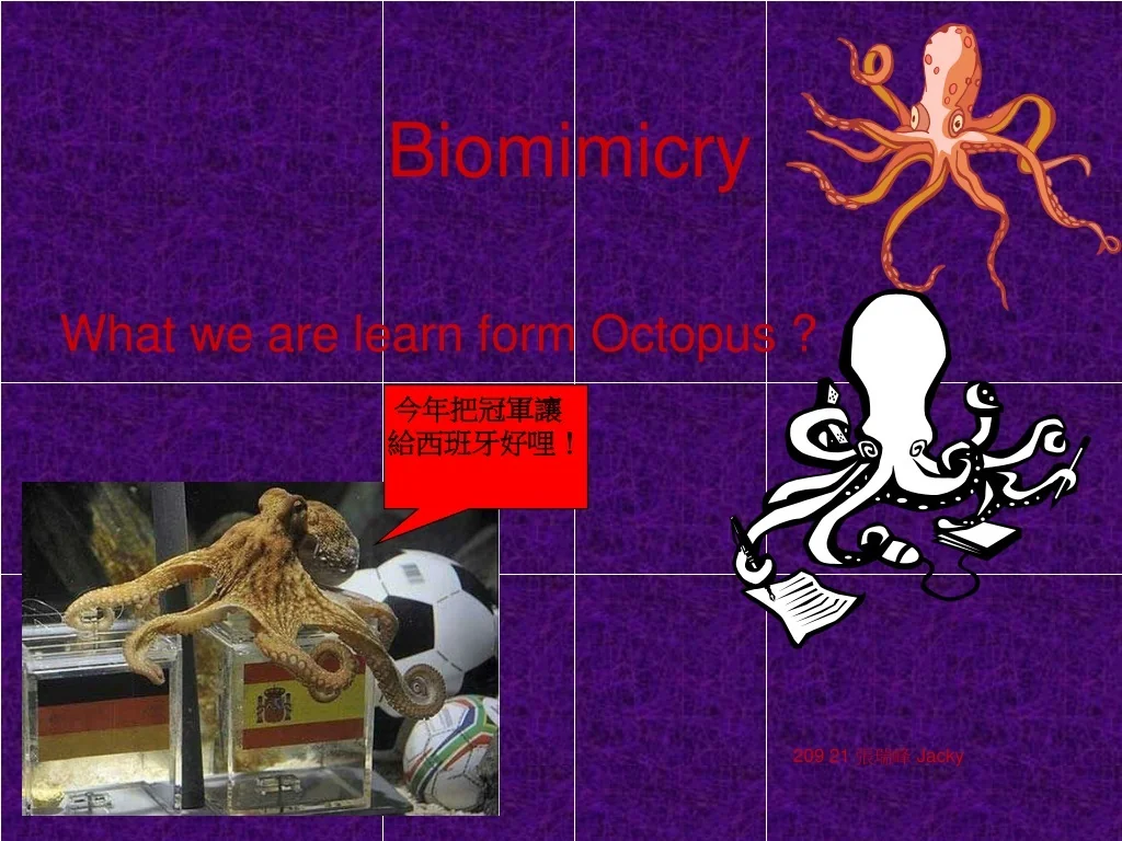 PPT - Innovative Biomimicry Lessons from Octopus: Discoveries and ...