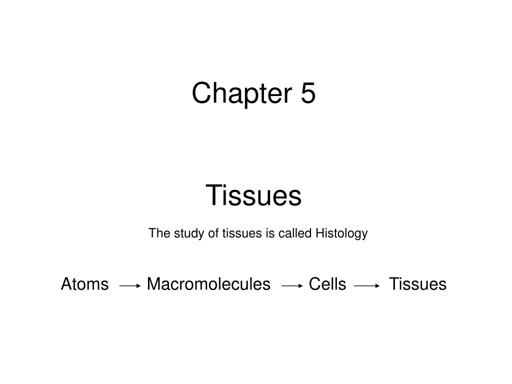 PPT - Chapter 5 Tissues Atoms Macromolecules Cells Tissues PowerPoint ...