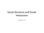 PPT - Social Interaction, Social Structure, and Groups PowerPoint ...