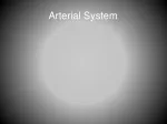 PPT - Arterial Lines PowerPoint Presentation, free download - ID:6356372