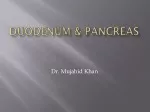 PPT - The Duodenum PowerPoint Presentation, free download - ID:8982225