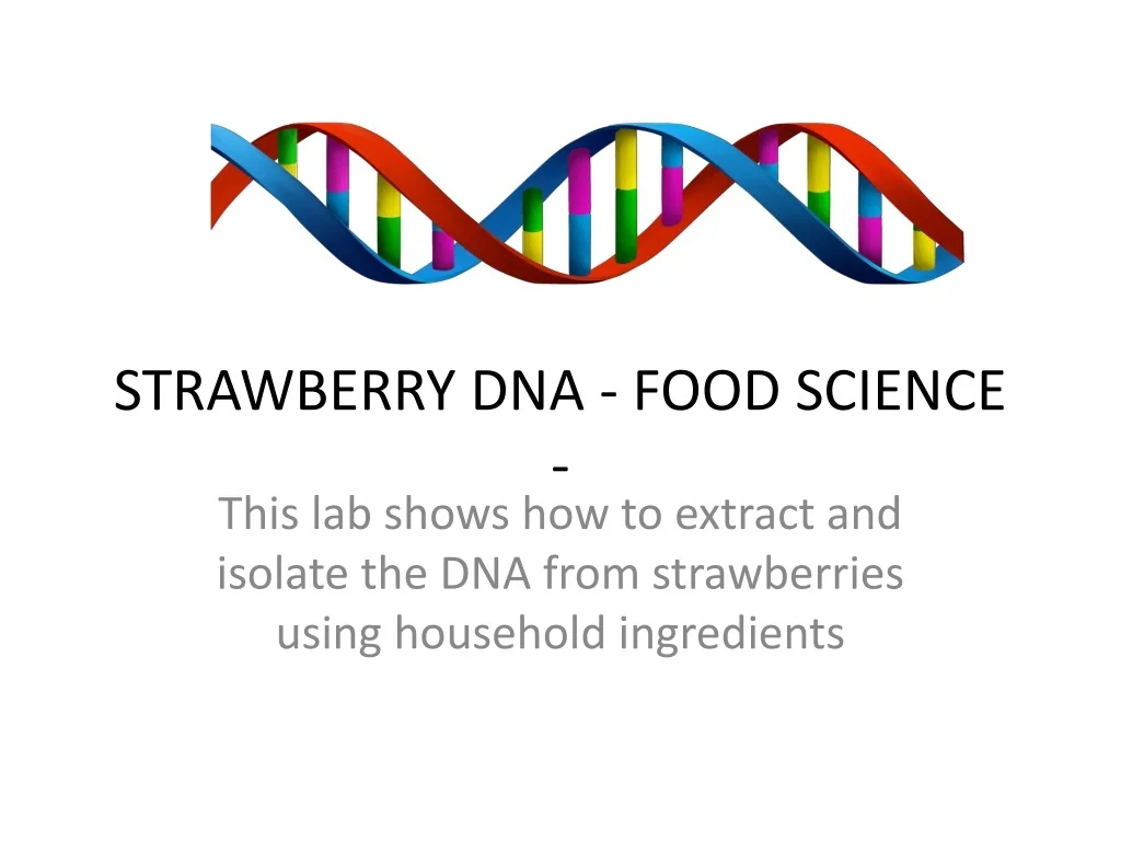 PPT - Strawberry DNA Extraction: A Fun Food Science Experiment ...