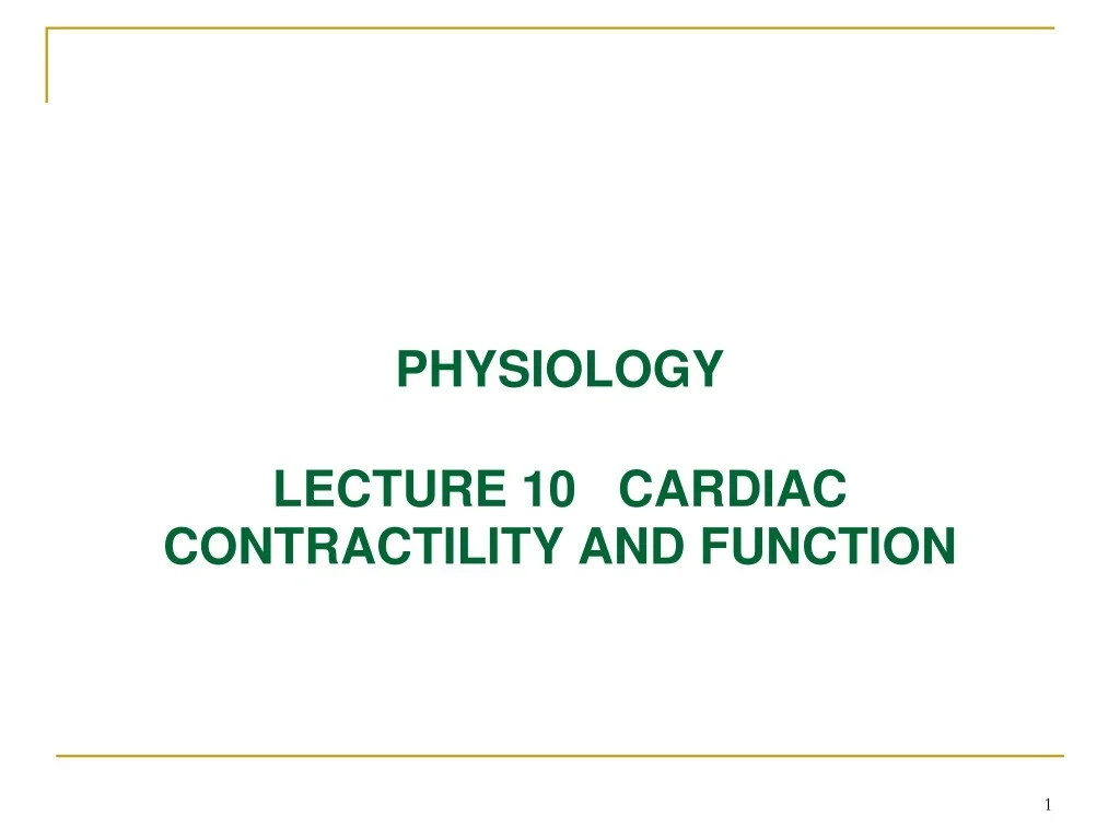 PPT - Cardiac Muscle Structure and Function PowerPoint Presentation ...