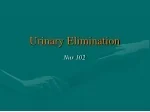 PPT - Urinary Elimination PowerPoint Presentation, free download - ID ...