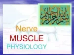 PPT - Nerve physiology PowerPoint Presentation, free download - ID:9397945
