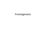 PPT - Simplified Form of the Frontogenesis Equation PowerPoint ...