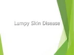 PPT - Lumpy Skin Disease PowerPoint Presentation, free download - ID:225543