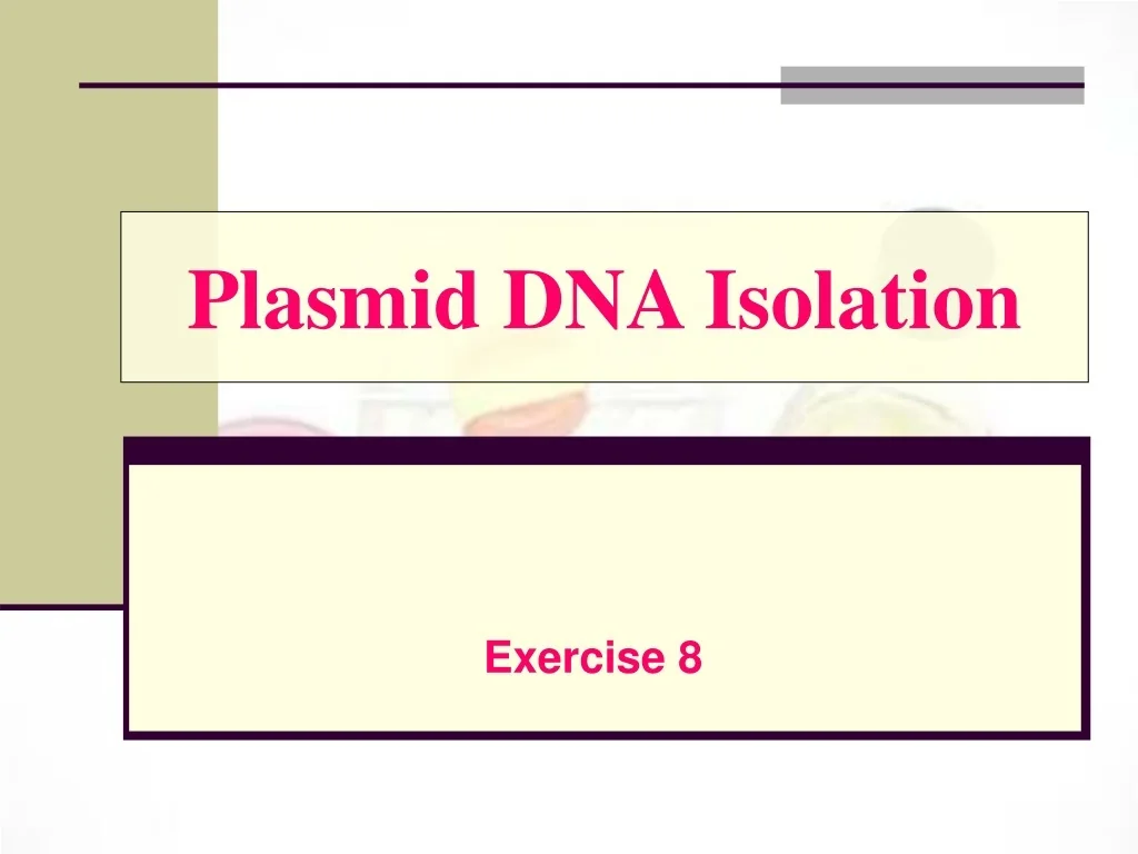 PPT - Plasmid DNA Isolation PowerPoint Presentation, free download - ID ...