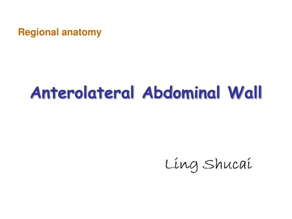 PPT - Anterolateral Abdominal Wall PowerPoint Presentation, free ...