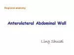 PPT - Anterior Abdominal wall defects PowerPoint Presentation, free ...