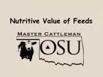 PPT - Voluntary feed intakes of Feeds PowerPoint Presentation, free ...