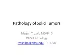 PPT - PEDIATRIC SOLID TUMORS PowerPoint Presentation, free download ...