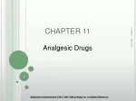 PPT - Pain and Analgesic Pathways PowerPoint Presentation, free ...