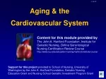 PPT - Aging changes of the Cardiovascular System PowerPoint ...