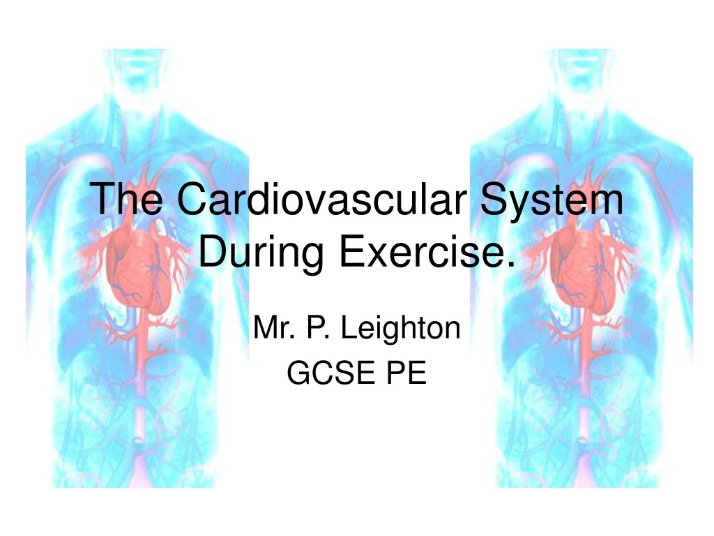 PPT - The Cardiovascular System in Exercise PowerPoint Presentation ...