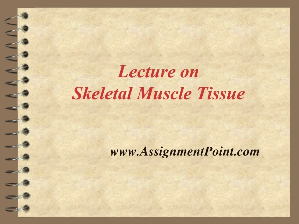 PPT - Skeletal Muscle Tissue Organization and Function PowerPoint ...
