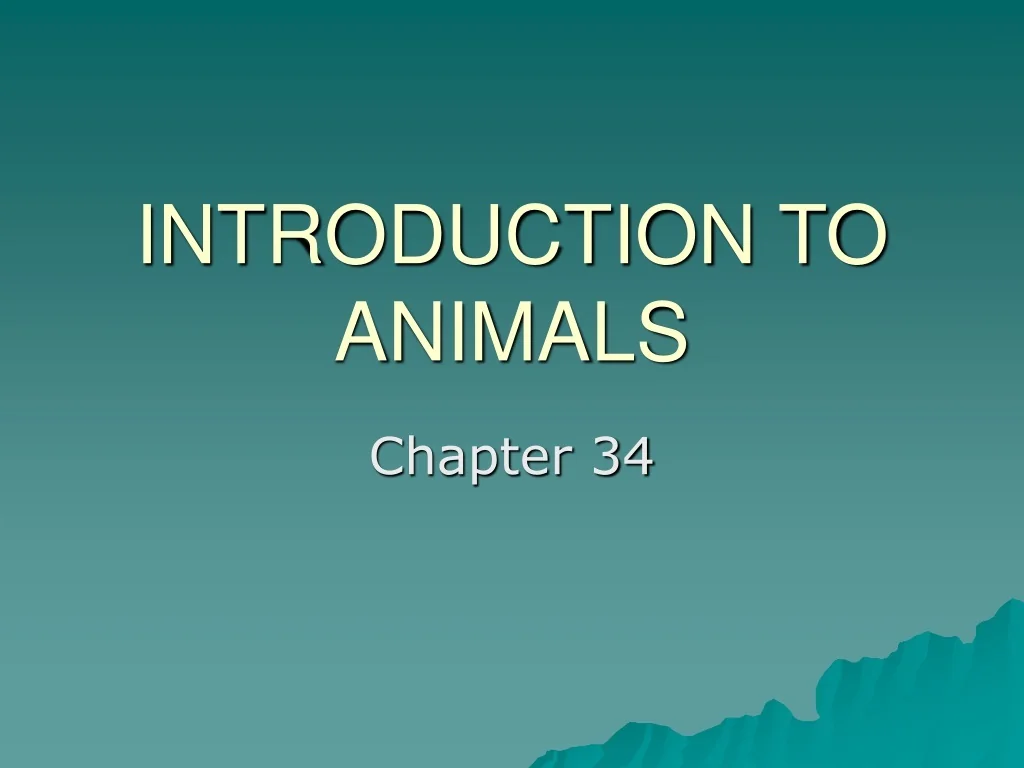 PPT - INTRODUCTION TO ANIMALS PowerPoint Presentation, free download ...