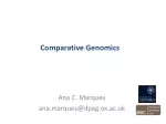PPT - Yeast genome sequencing: the power of comparative genomics ...