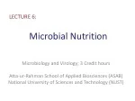 PPT - Chapter3 Microbial nutrition PowerPoint Presentation, free ...