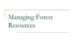PPT - Forest and Wildlife Resources PowerPoint Presentation, free ...