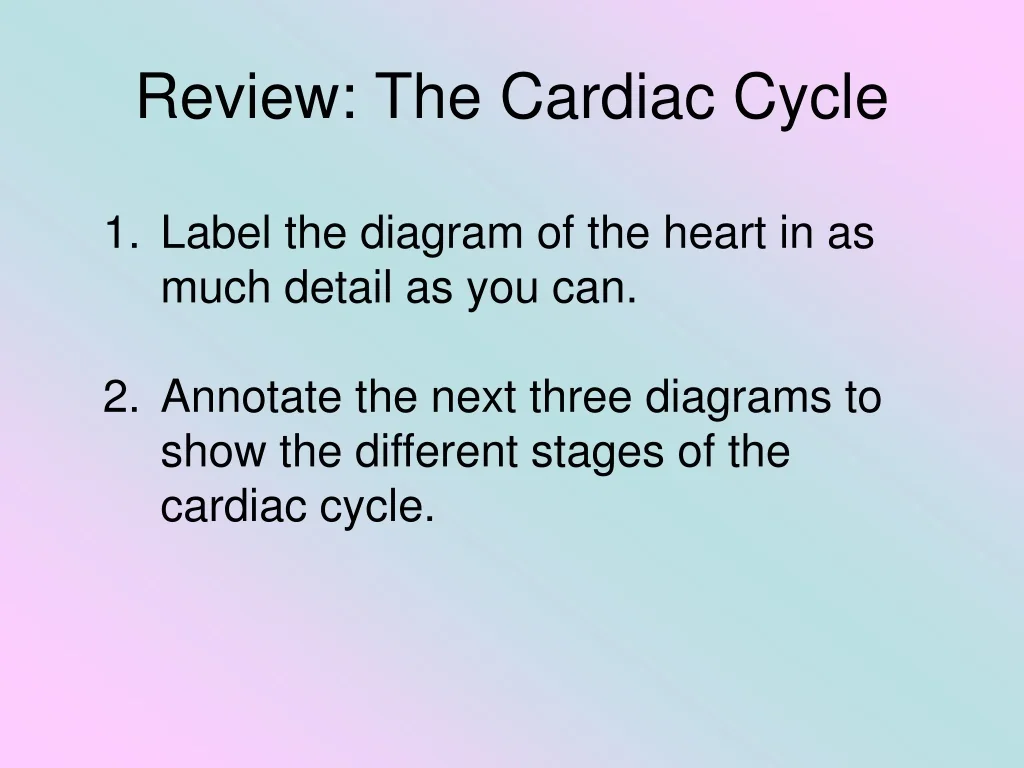 PPT - Cardiac Cycle: Nervous System and Heart Rate Control PowerPoint ...