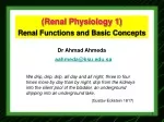 PPT - Three basic renal processes PowerPoint Presentation, free ...