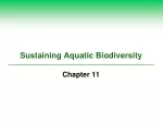 PPT - Sustaining Biodiversity PowerPoint Presentation, free download ...