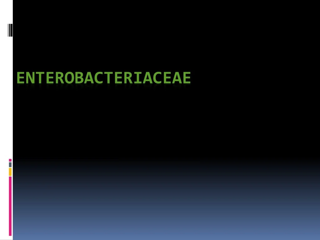 PPT - ENTEROBACTERIACEAE PowerPoint Presentation, free download - ID ...