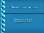 PPT - Upsetting the Fine Structure Constant without 12672 Diagrams ...