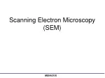 PPT - Scanning Electron Microscopy PowerPoint Presentation, free ...