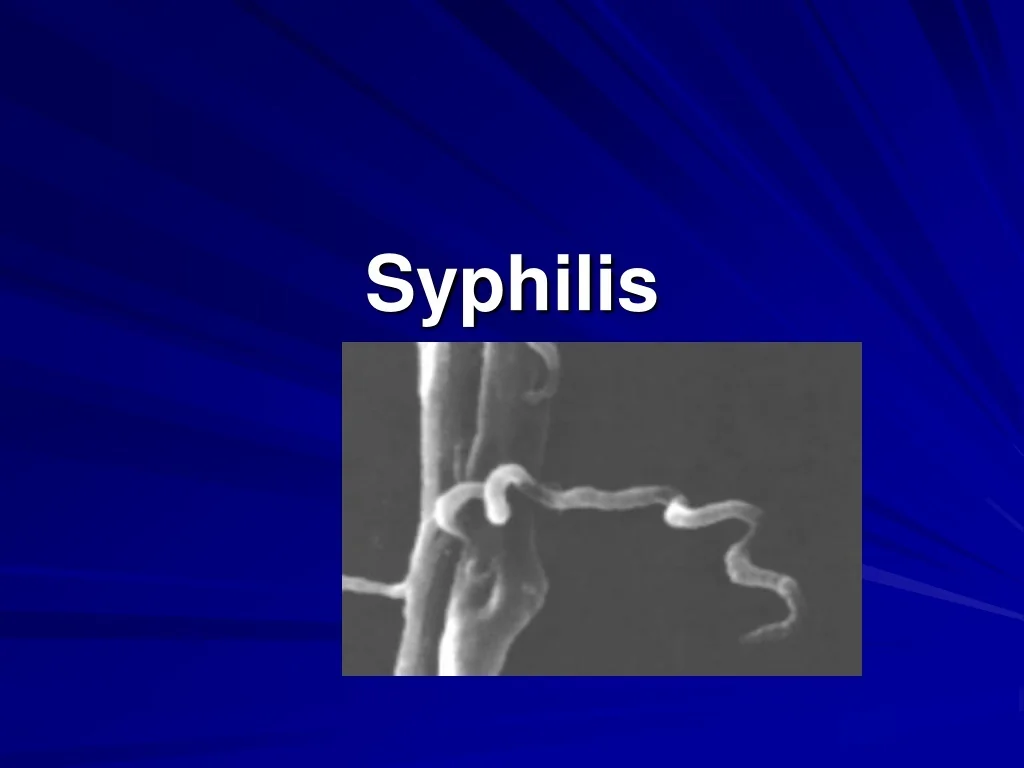 PPT - Syphilis PowerPoint Presentation, free download - ID:9733035