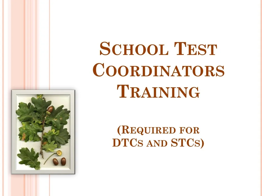 PPT - School Test Coordinators Training (Required for DTCs and STCs ...