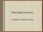 PPT - Data Representation in Bioinformatics PowerPoint Presentation ...
