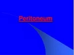 PPT - The peritoneum PowerPoint Presentation, free download - ID:1785134