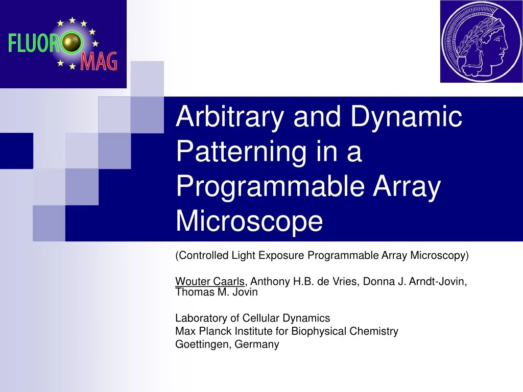 PPT - Arbitrary and Dynamic Patterning in a Programmable Array ...