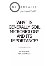PPT - Soil Microbiology PowerPoint Presentation, free download - ID:966927
