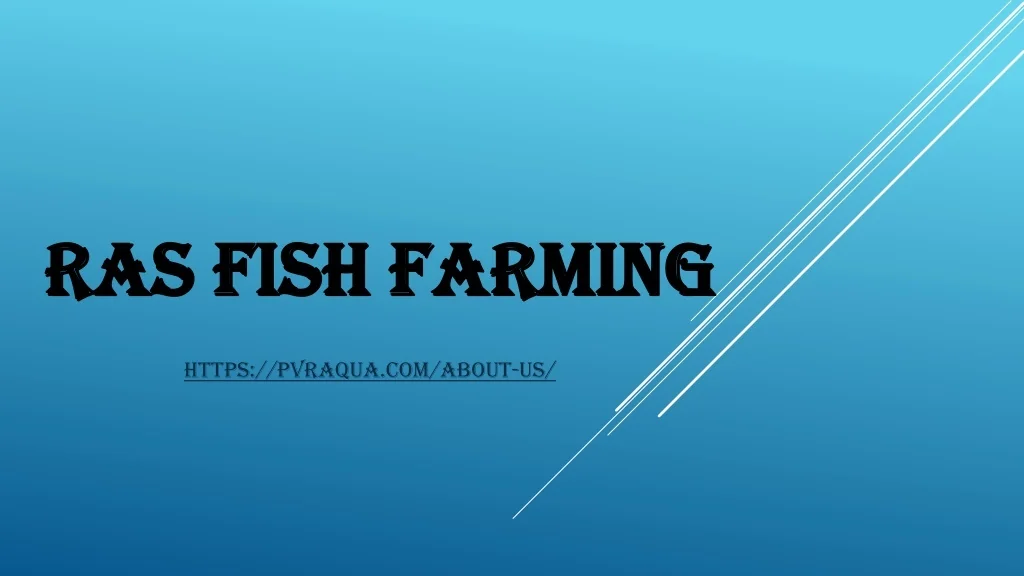 PPT - RAS Fish Farming PowerPoint Presentation, free download - ID:9793073