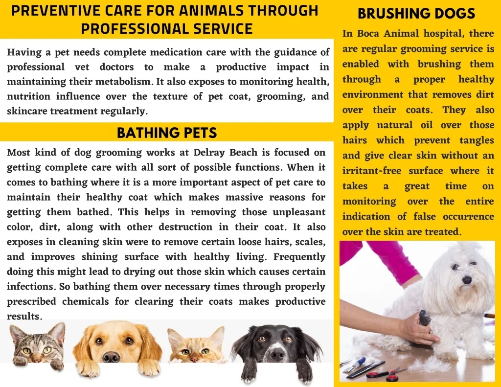 Pets / Animals Presentations on SlideServe