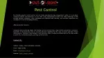 PPT - Bees and Wasps Thirsty Pest Control PowerPoint Presentation, free ...