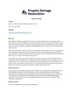 PPT - LIABILITY FOR LOSS, DAMAGE, DESTRUCTION OR THEFT OF GOVERNMENT ...