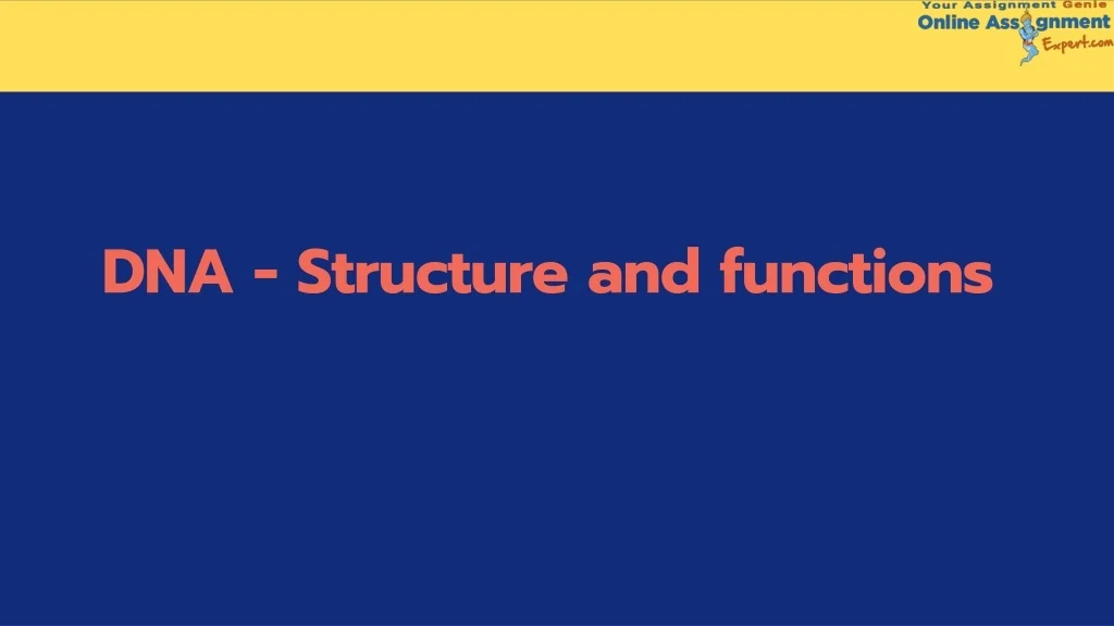 PPT - DNA - Structure and functions PowerPoint Presentation, free ...