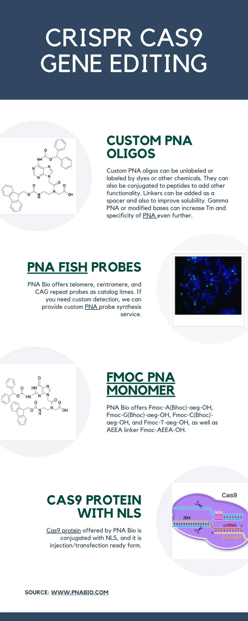 PPT - CRISPR Cas9 Gene Editing PowerPoint Presentation, free download ...